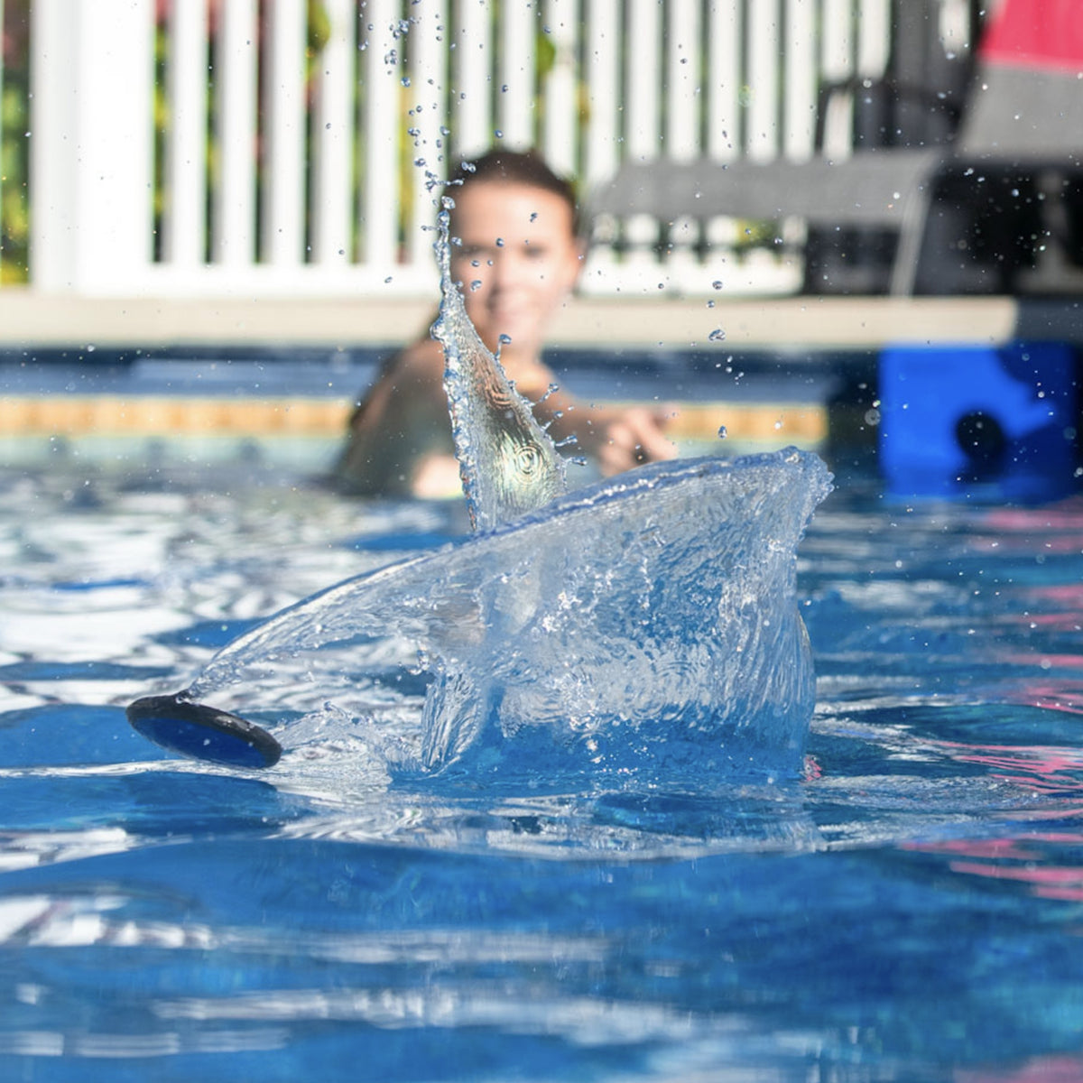 The Perfect Swimming Pool Game for Every Pool & Everyone – Squire Pool Game