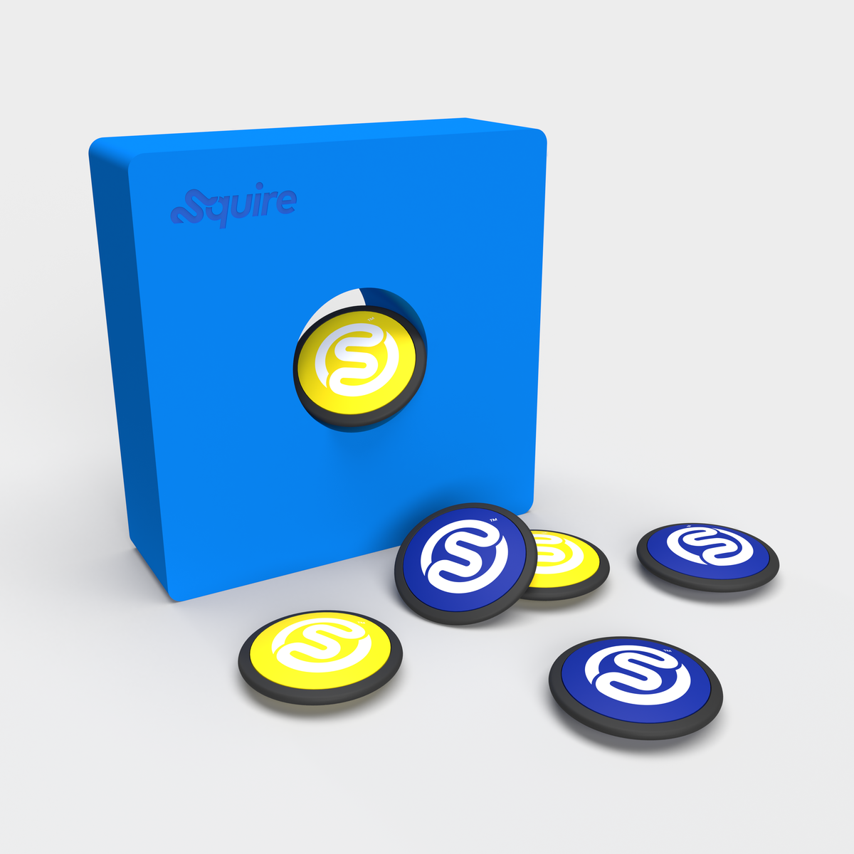 Squire - Above-ground Swimming Pool Game (one side) – Squire Pool Game